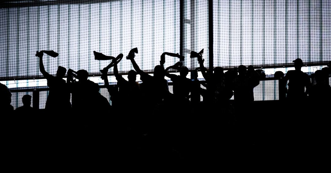 ICYMI #5 | All caught up?