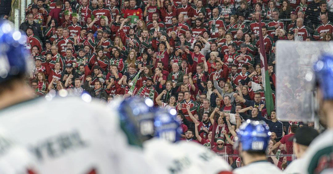 Augsburger Panther take aim at the CHL